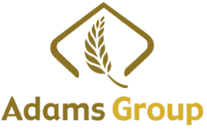 Expect More From Your Cloud - 2bcloud